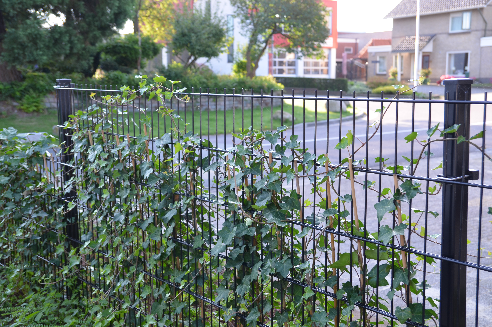 Hekwerken | Voordeelhek